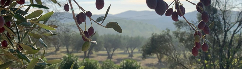 Kontakt - La Bastide